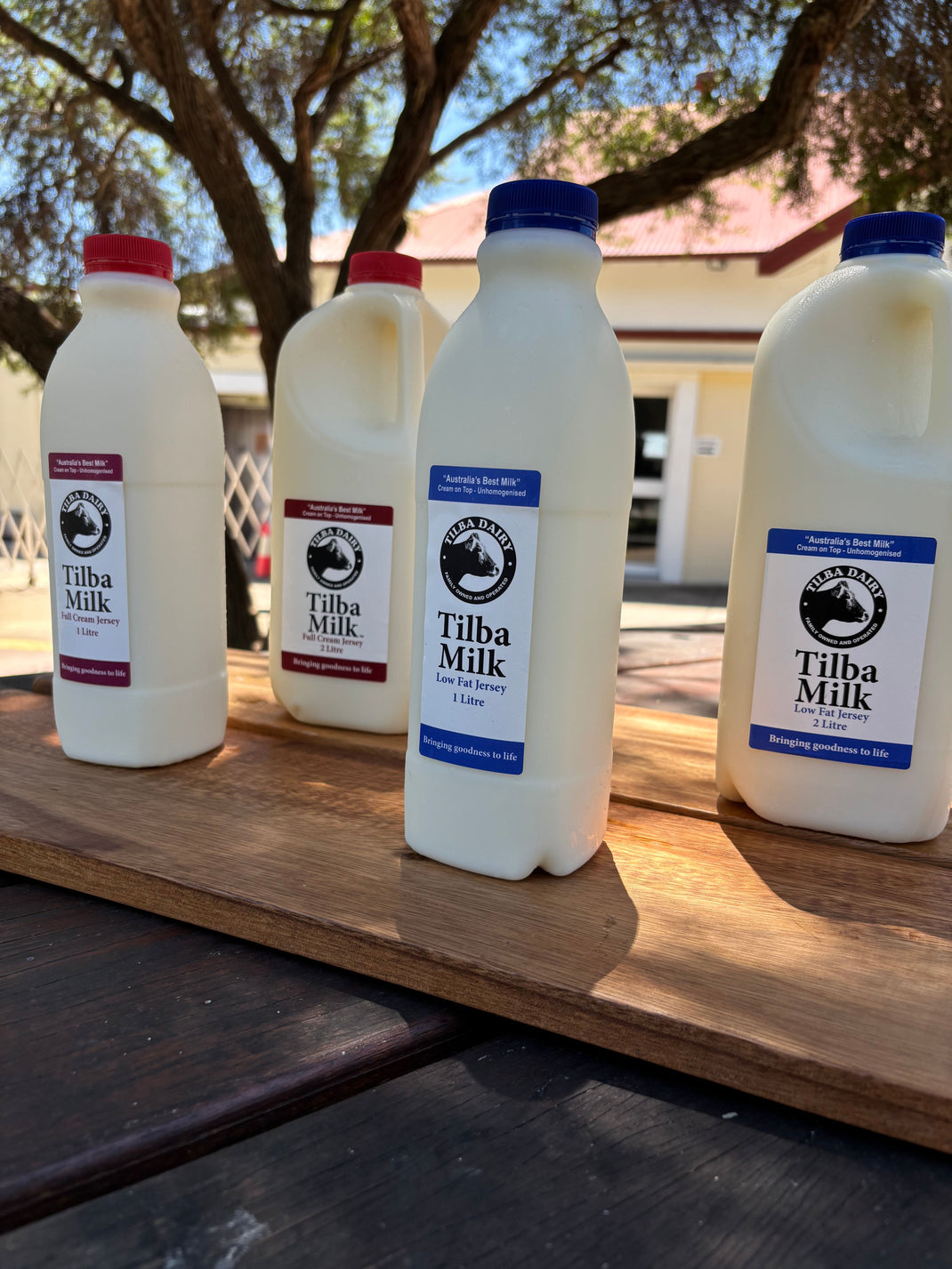 Tilba Dairy